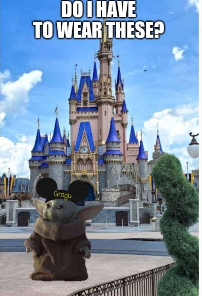 Best Grogu Baby Yoda Name Memes