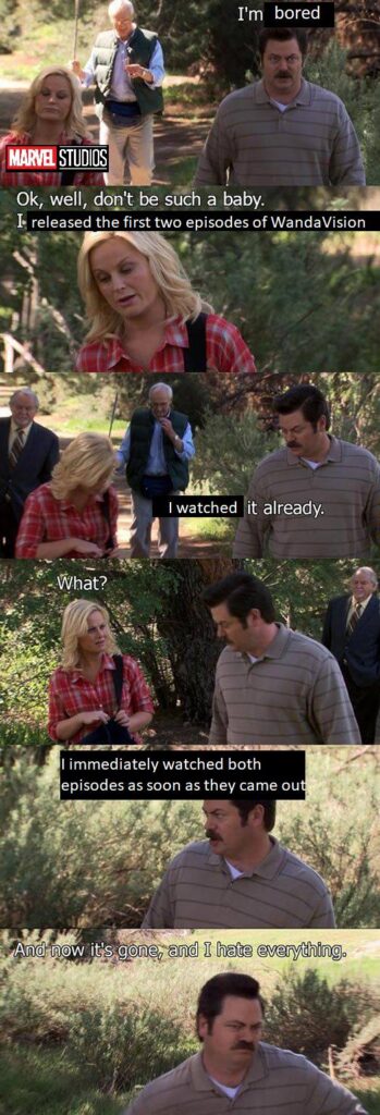 The Best WandaVision Memes To Prove You Are Not Alone In Your Confusion