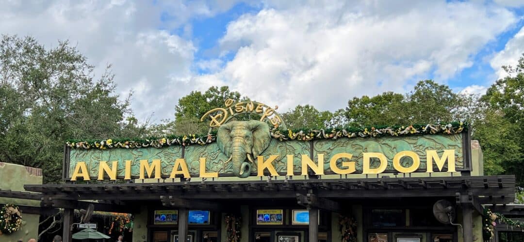 Where Are The Rideshare Drop Off Locations At Disney World? Rideshare ...