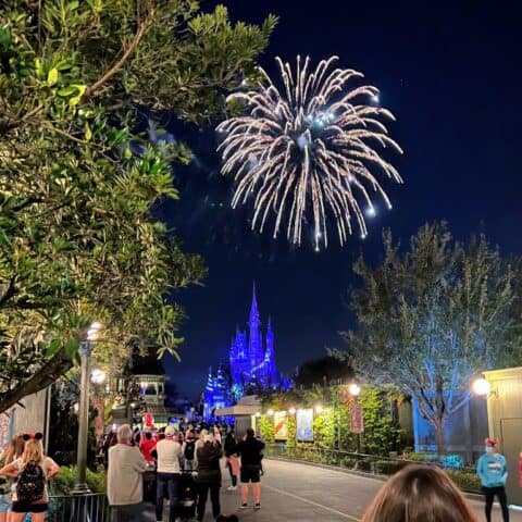 No-Guilt Disney - A runDisney Blog