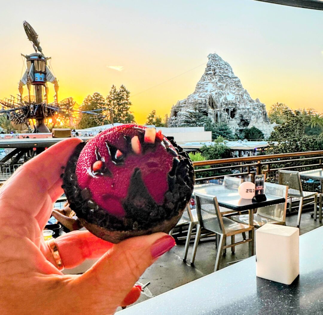 Is The Tomorrowland Skyline Terrace Fireworks Dining Package Worth It?