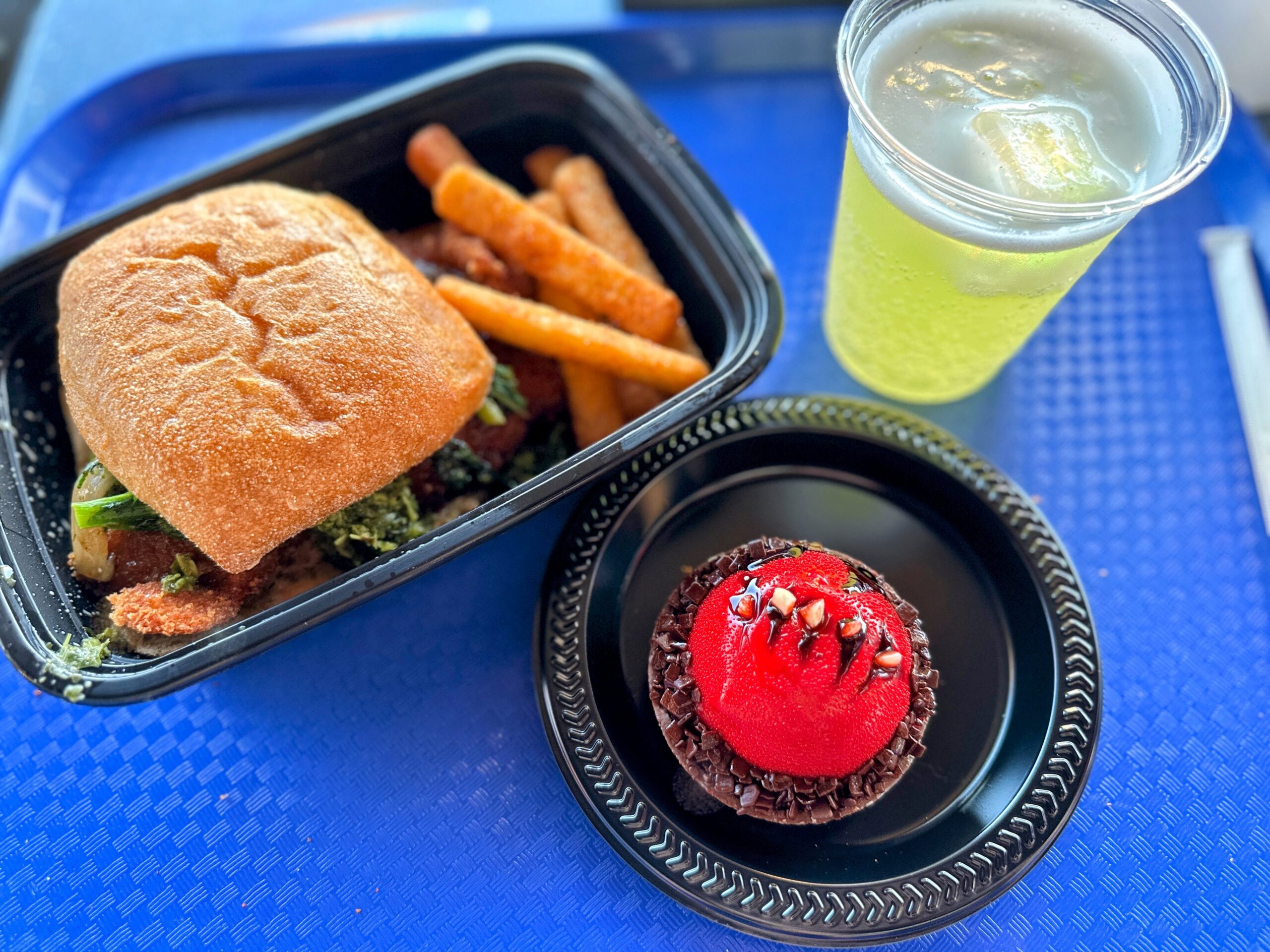 Is The Tomorrowland Skyline Terrace Fireworks Dining Package Worth It?