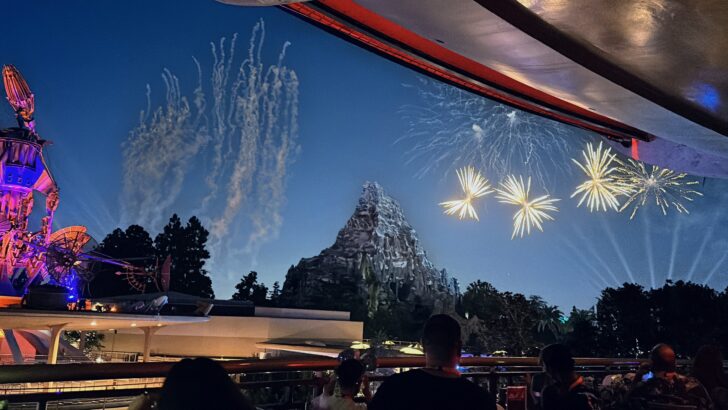 Is The Tomorrowland Skyline Terrace Fireworks Dining Package Worth It?