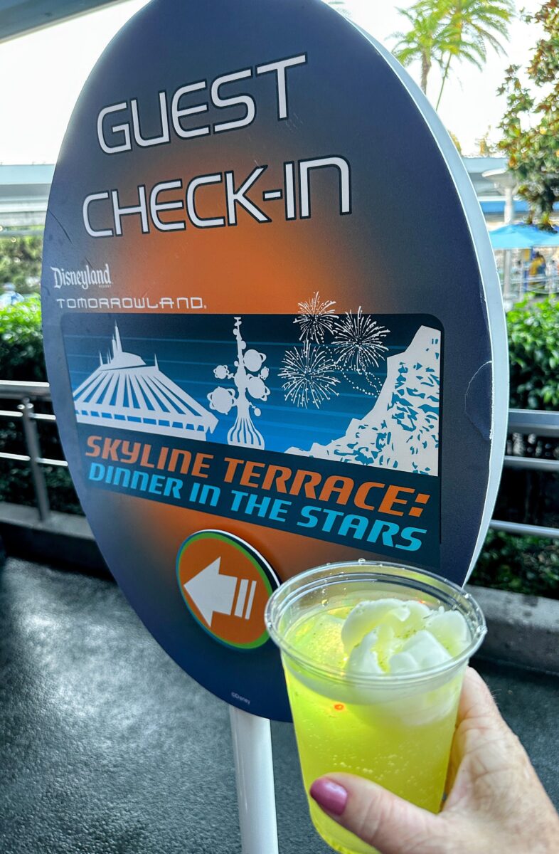 Is The Tomorrowland Skyline Terrace Fireworks Dining Package Worth It?