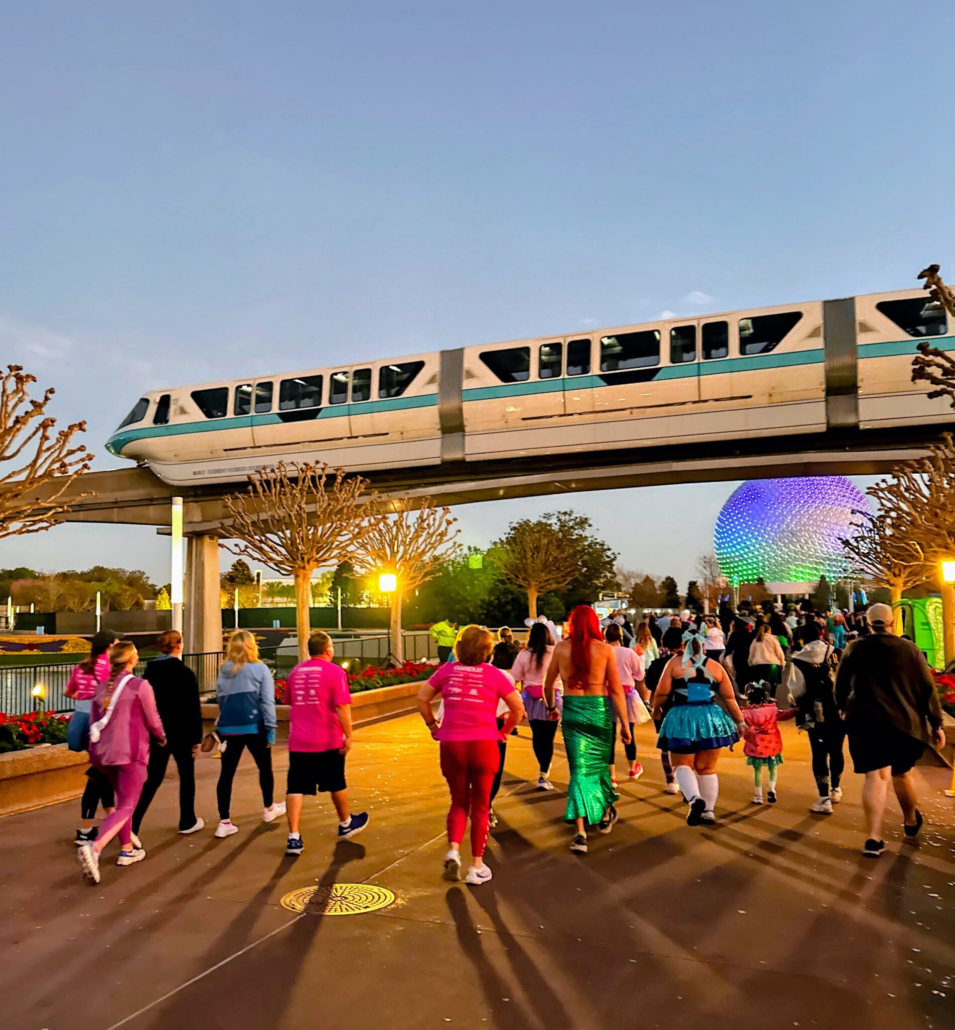 2025 Walt Disney World Marathon Course Map: Caution, Runners, BIG ...