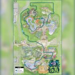 2025 Disneyland Halloween Half Marathon Course Maps, Event Guide and More!